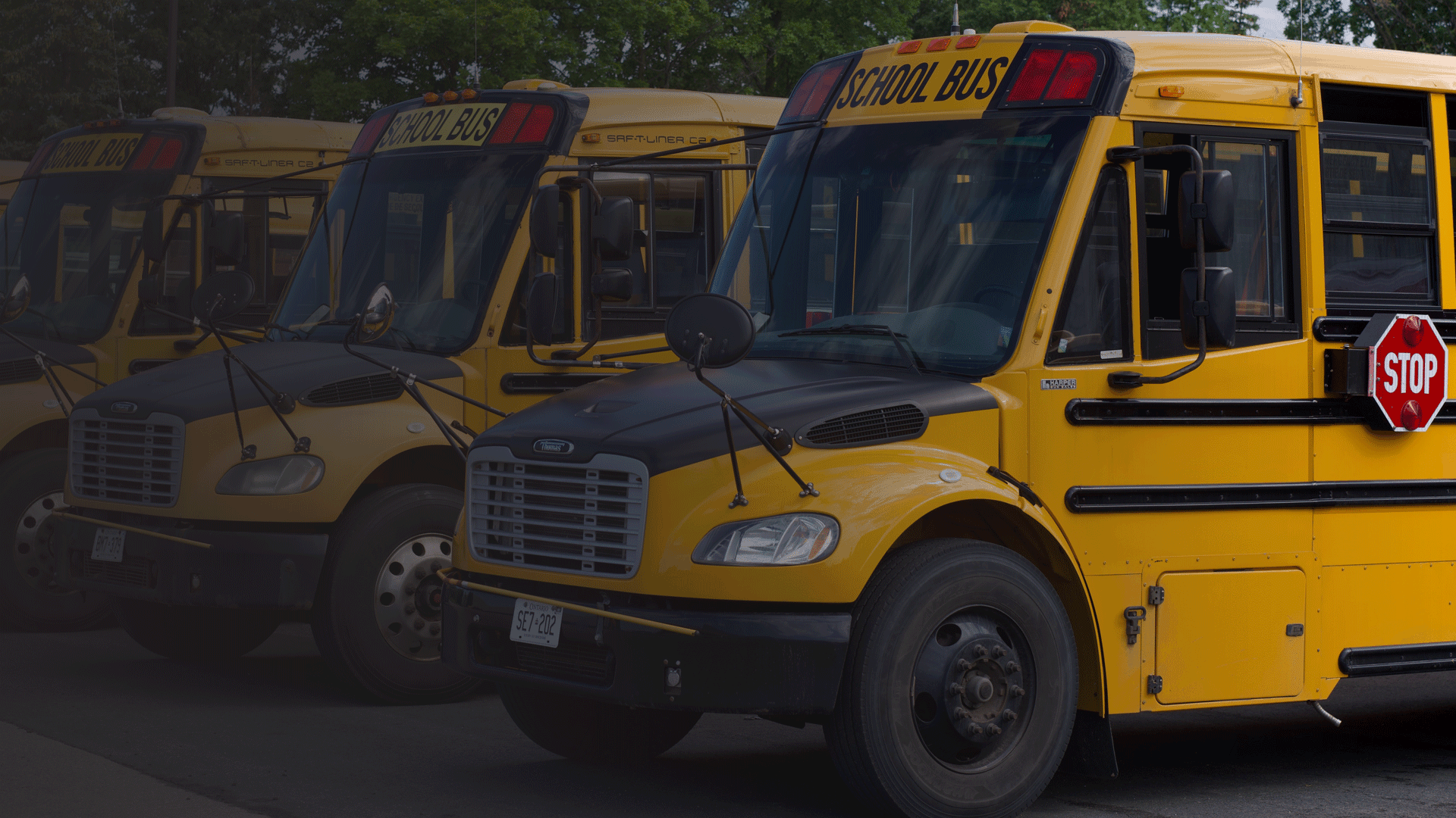 SmallRowofBuses | Switzer-Carty Transportation Inc.